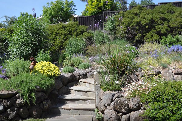 Urban Flora Design - Orinda - Get Started with PlantMaster