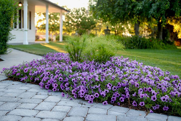 Landscape Designers - Get Started with PlantMaster